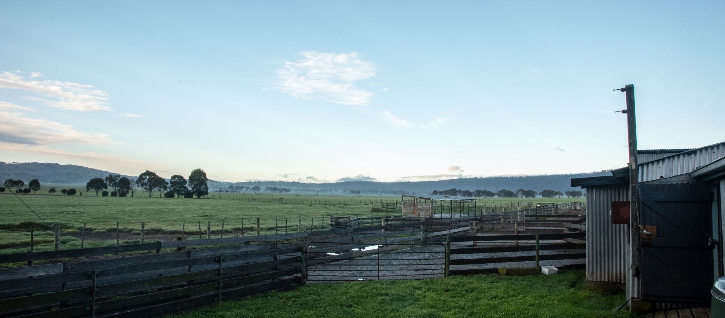 Single-Source Merino Wool | Sustainability | M.J. Bale